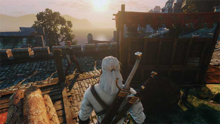 Witcher 3 wild hunt script compilation errors - avenuefalas