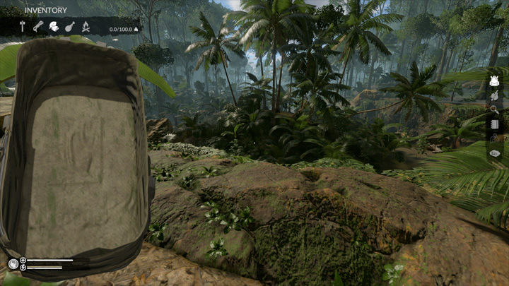 Green Hell mod Increased Carry Weight 100 v.1.0 - Darmowe Pobieranie ...